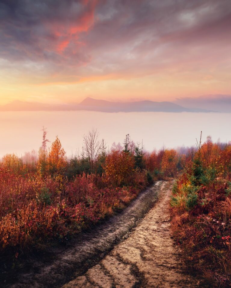 Best Time to Visit Romania: Seasons, Activities, and Insider Tips