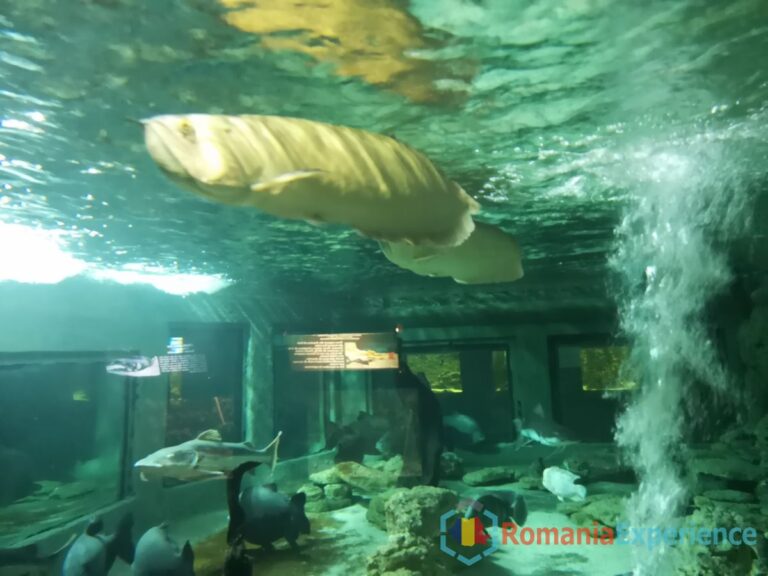 Top Things to See and Do in Constanta, Romania